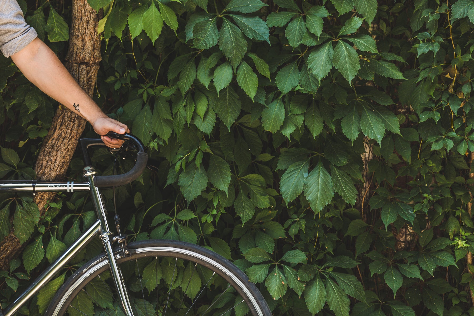 Trivel | Mobility for all